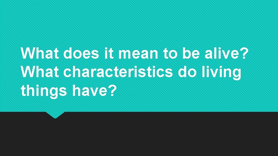 Characteristics of Living Things What is Life What