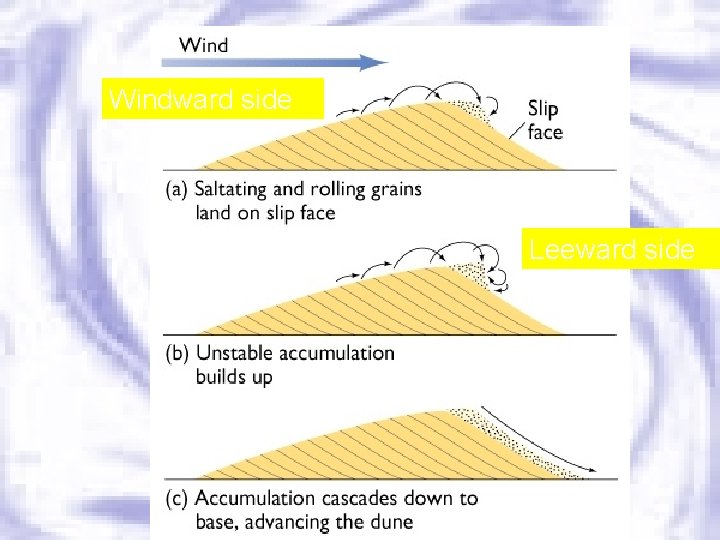 Agents of Erosion Wind and Waves Wind Erosion