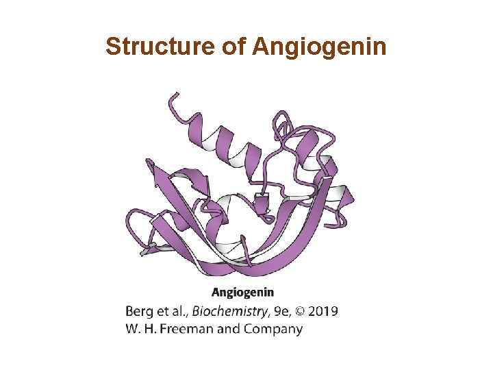 Chapter 6 Exploring Evolution and Bioinformatics 2019 W