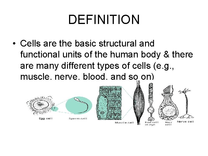 HUMAN CELL BY DR VIVEK B SATHE DEFINITION