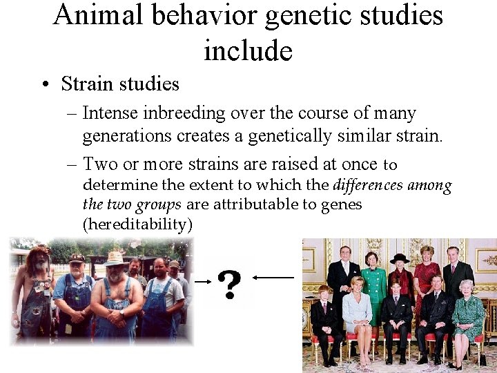 Behavior Genetics Predicting Individual Differences Behavior ...