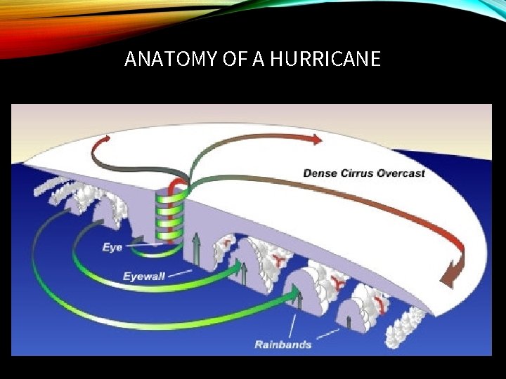 PART 3 HURRICANESTYPHOONS LEARNING GOALS Describe what a