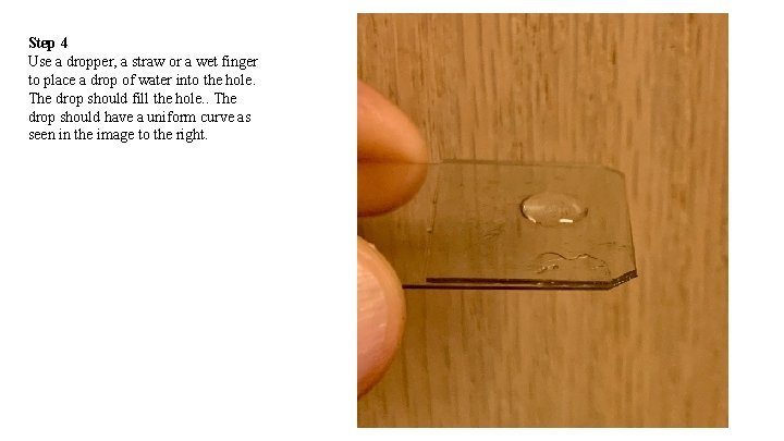 Making a Water Drop Microscope Materials Clear Plastic