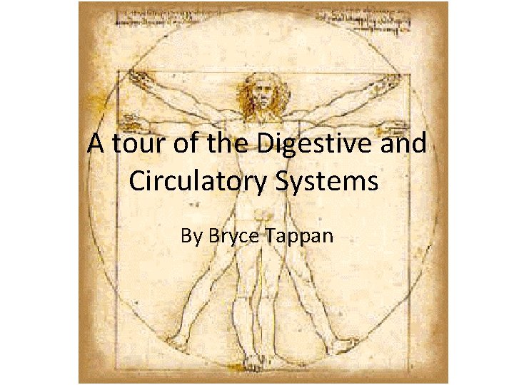 A tour of the Digestive and Circulatory Systems