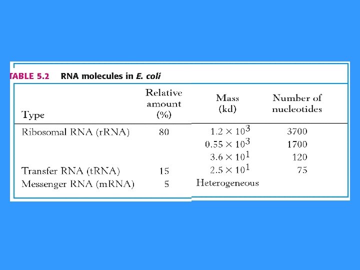 TRANSCRIPTION RNA CLASSIFICATION ribosomal RNA r RNA messenger