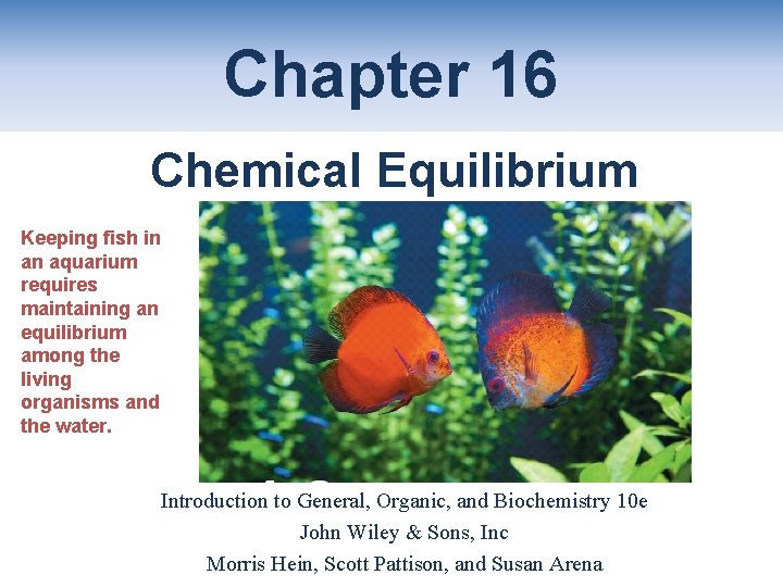 Chapter 16 Chemical Equilibrium Keeping fish in an