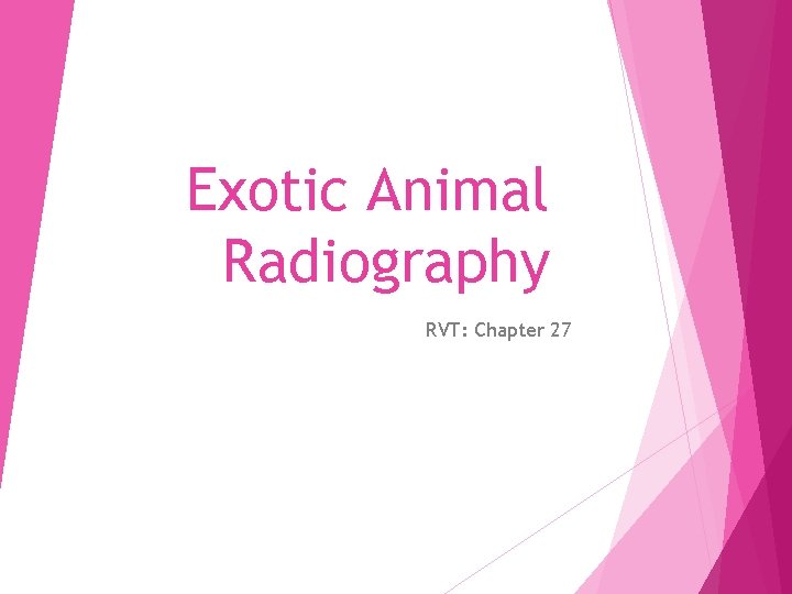 Exotic Animal Radiography RVT Chapter 27 Species Variety