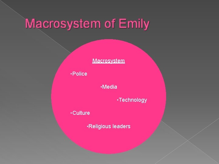 Ecological Map By Anisa Shand S 00092505 Avatar
