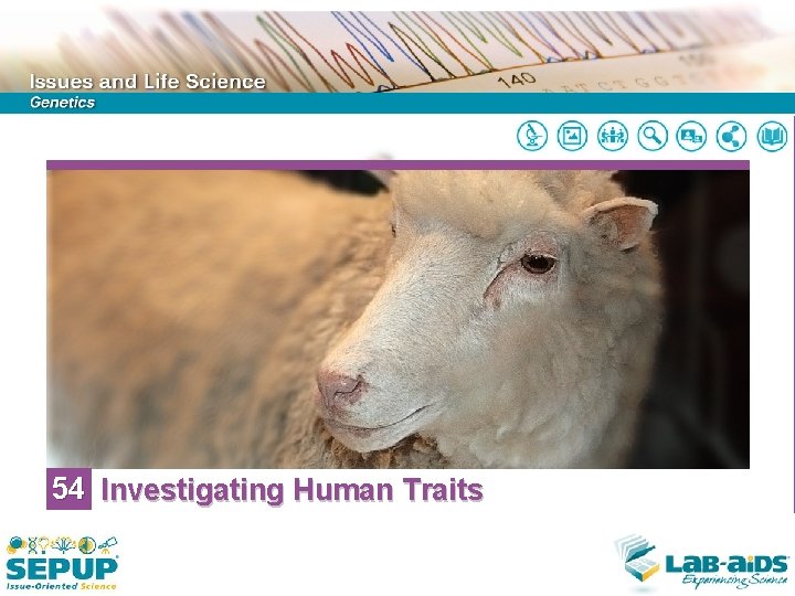 54 Investigating Human Traits LIMITED LICENSE TO MODIFY