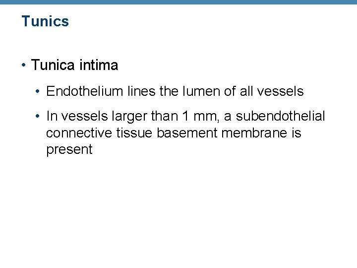 Blood Vessels Delivery system of dynamic structures that