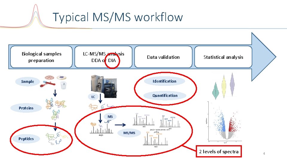 Using Machine Learning to predict spectral libraries in