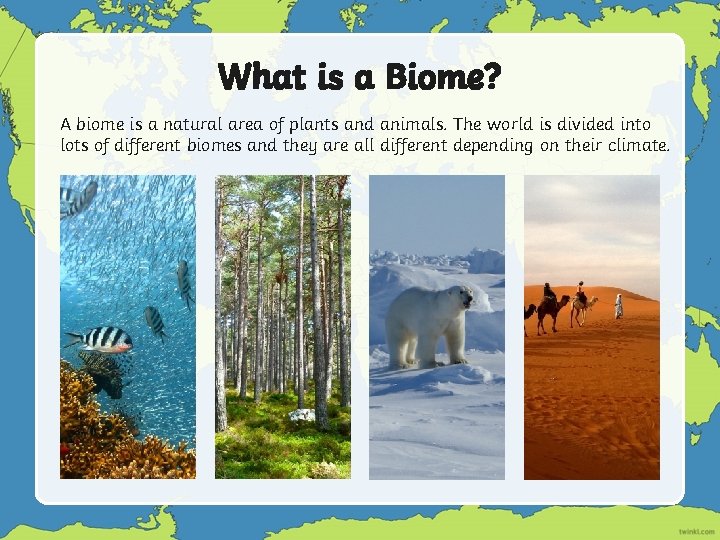 What is a Biome A biome is a