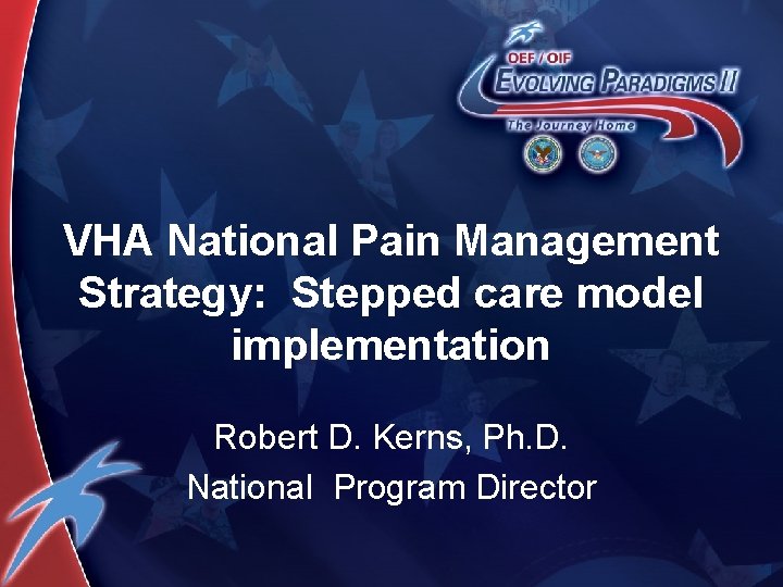 VHA National Pain Management Strategy Stepped care model