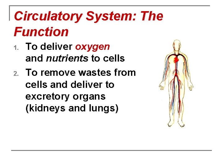 The Circulatory System Getting oxygen and nutrients where