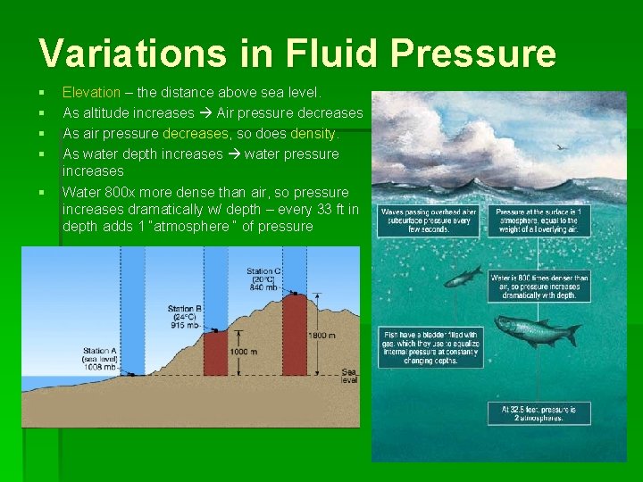 Physical Science Chapter 3 Forces in Fluids Pressure