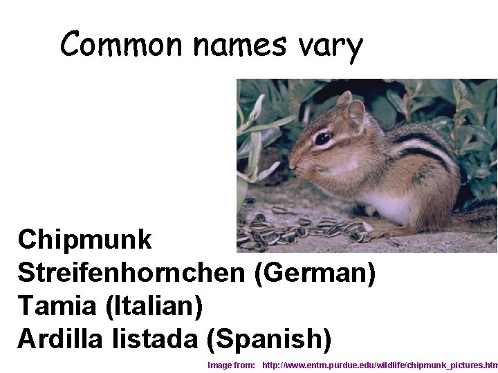 Put these in the correct order Order Class