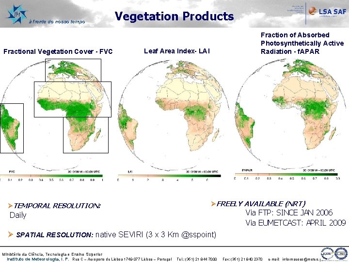 frente do nosso tempo LSA SAF Vegetation Products