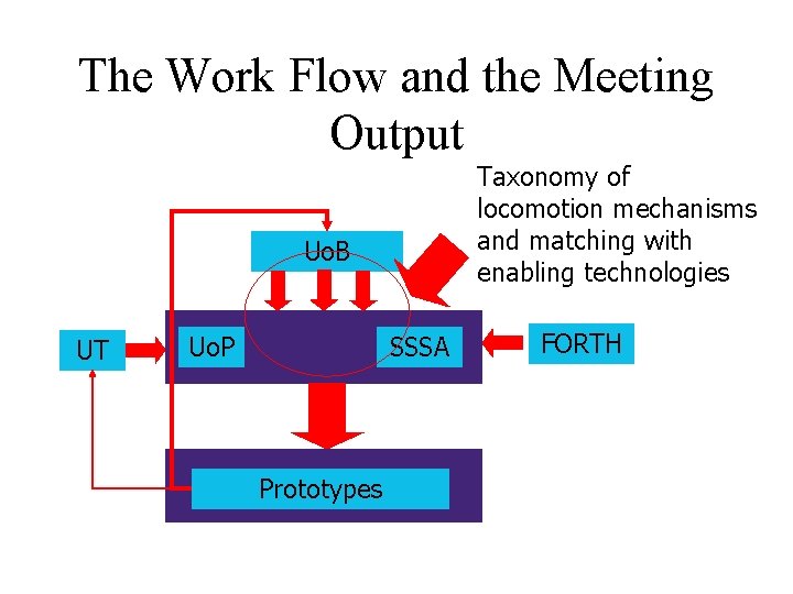 The Work Flow and the Meeting Output Taxonomy