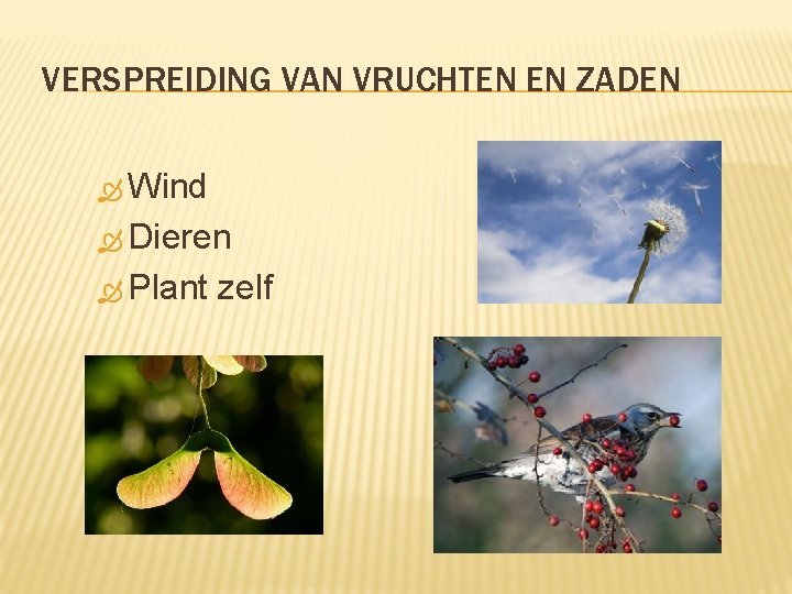 5 4 VOORTPLANTEN 1 HV 1 BLOEMEN Organen