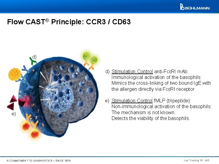 BHLMANN CAST Assays Technical Presentation 03062016 A COMMITMENT