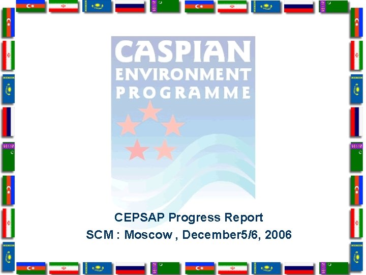CEPSAP Progress Report SCM Moscow December 56 2006