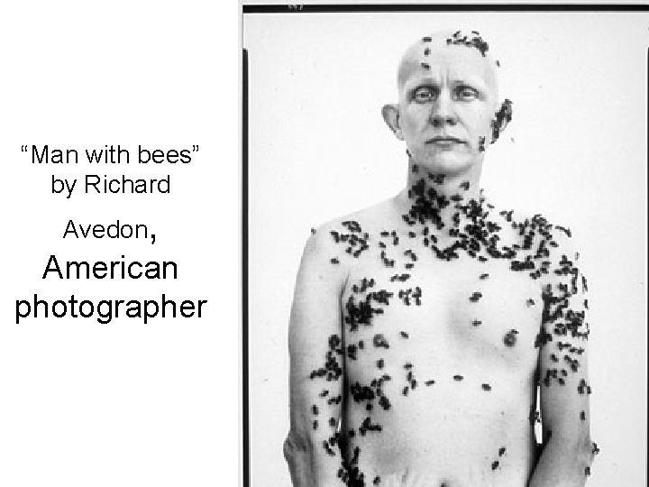 The photographer sees a portrait The human eye