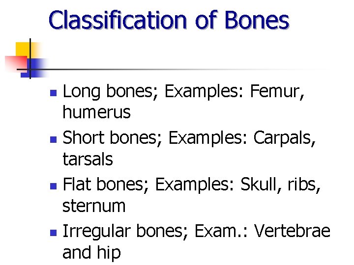 DIGGIN UP BONES CHAPTER 5 The Skeletal System
