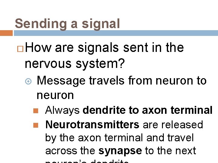 WarmUp Draw a motor neuron and label its