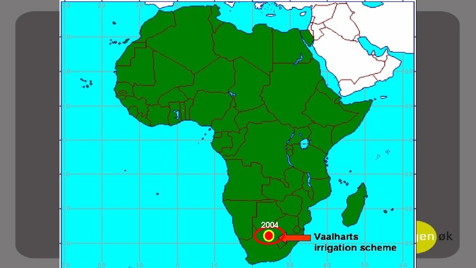 Risk Assessment of genetically modified GM plants and