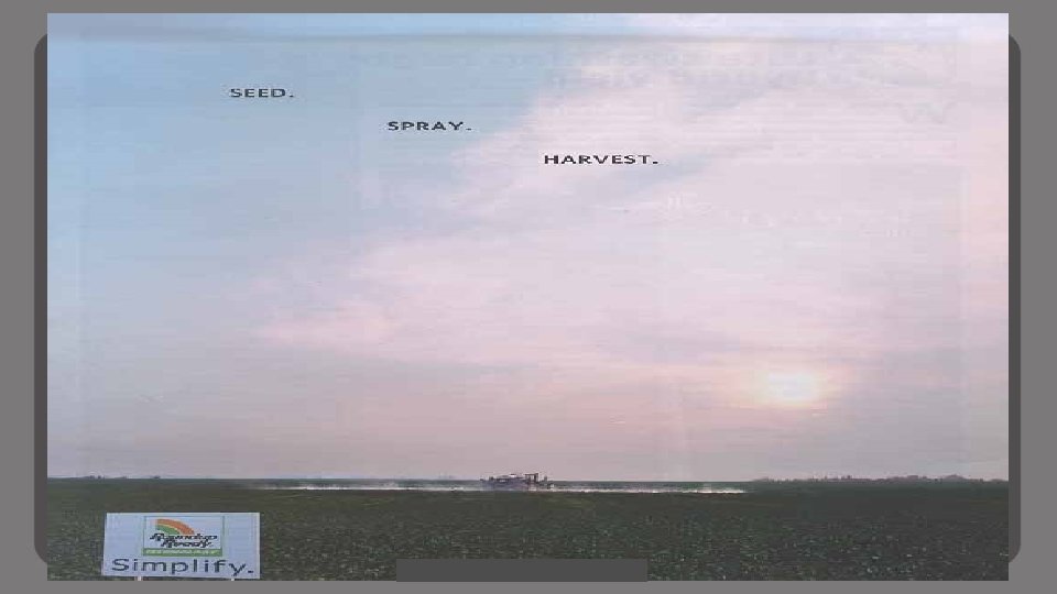 Risk Assessment of genetically modified GM plants and