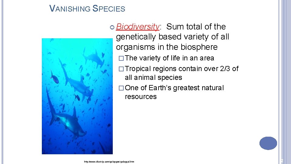 HUMAN IMPACT VANISHING SPECIES Biodiversity Sum total of