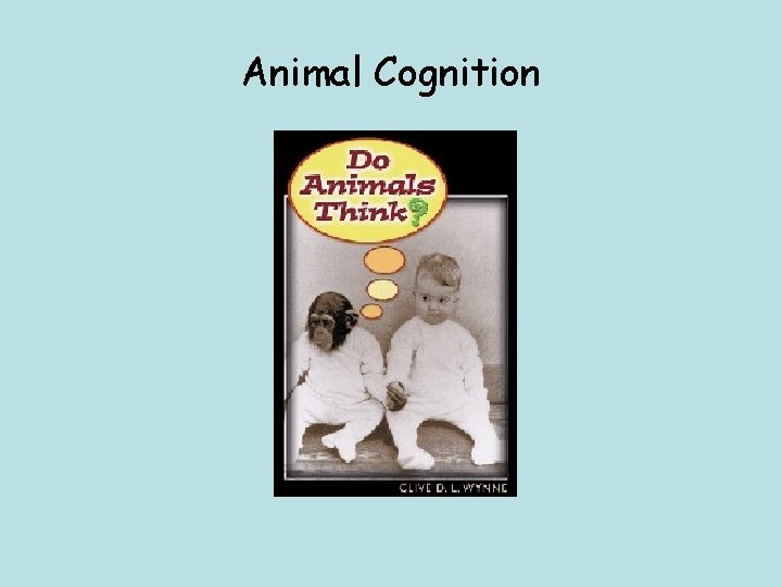 Animal Cognition Aristotle Classification Scala Naturae God Angels