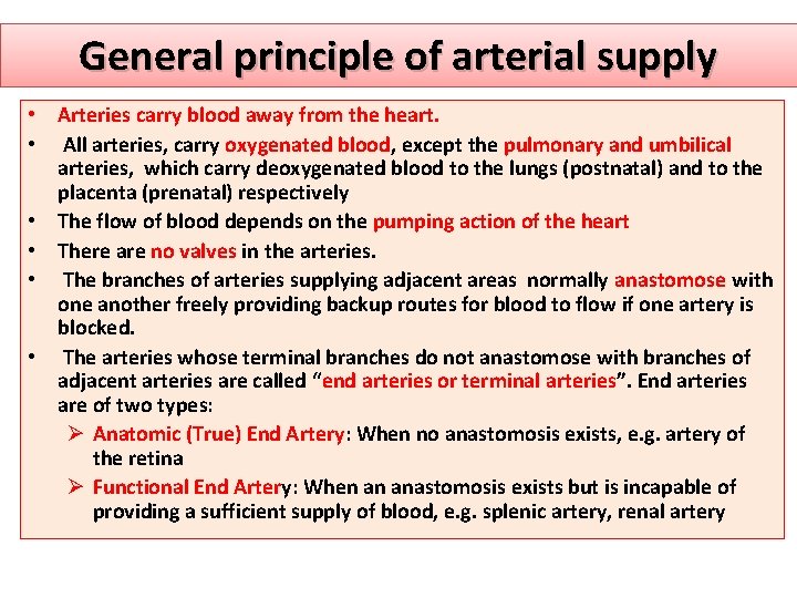 MAJOR ARTERIES OF THE BODY Objectives At the