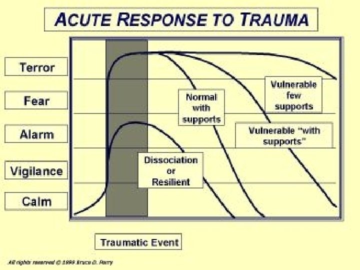 Assessment of Complex Trauma Brian L Meyer Ph