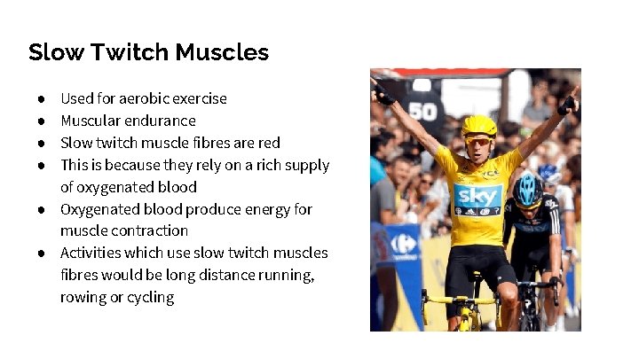 Types of Muscles and their Movement NCFE Sport