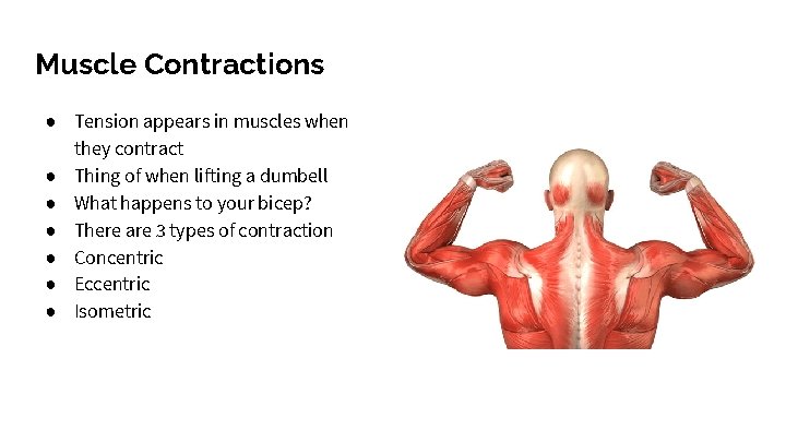 Types of Muscles and their Movement NCFE Sport