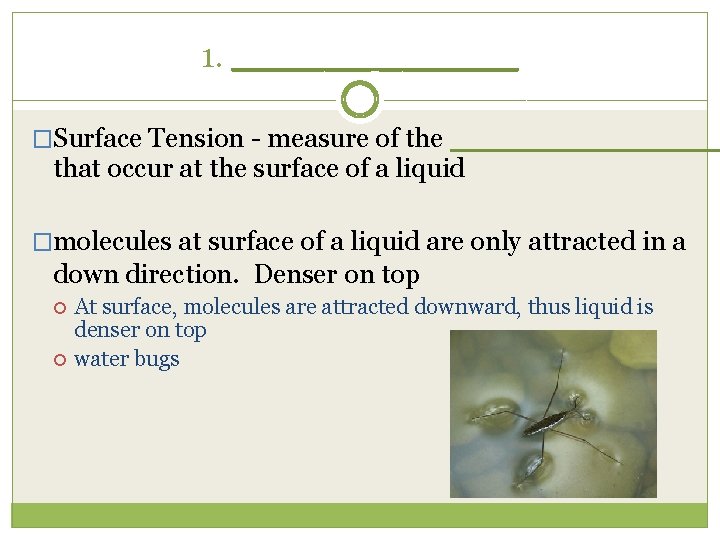 Chapter 13 CONDENSED STATES OF MATTER States of
