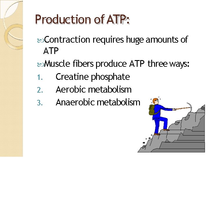 Aerobic Anaerobic Metabolism in Muscles Musculoskeletal Block 1