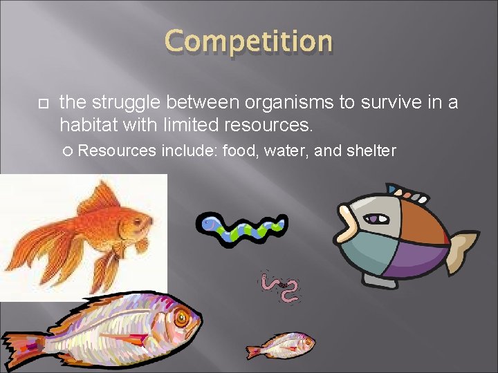 INTERACTIONS Within an Ecosystem 22 3 Niche Every