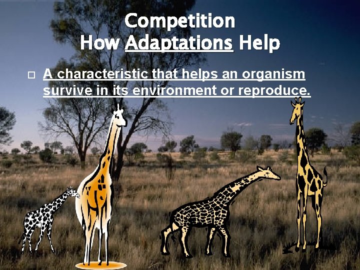 INTERACTIONS Within an Ecosystem 22 3 Niche Every