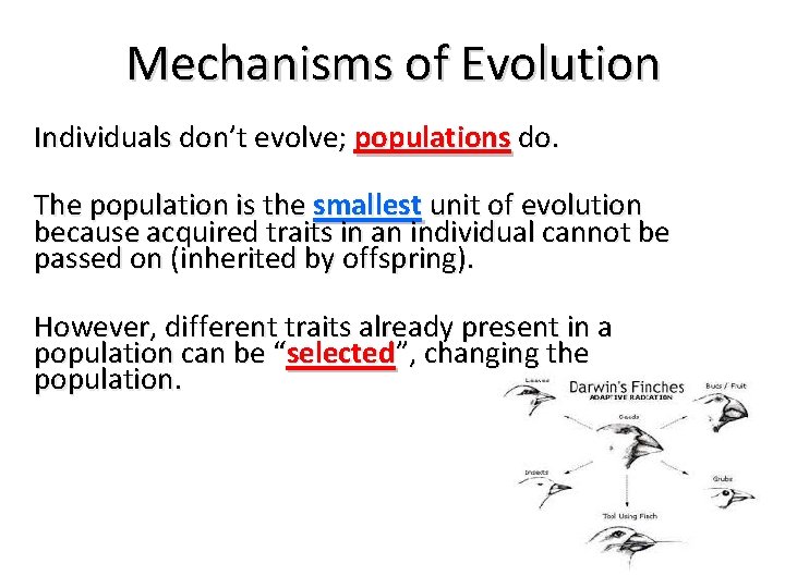 Do Now Can living things come from nonliving