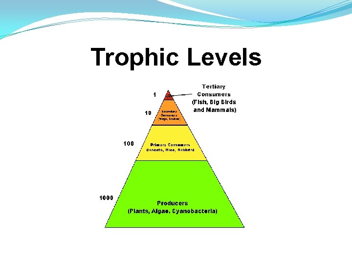 CHAPTER 3 THE BIOSPHERE 3 1 WHAT IS
