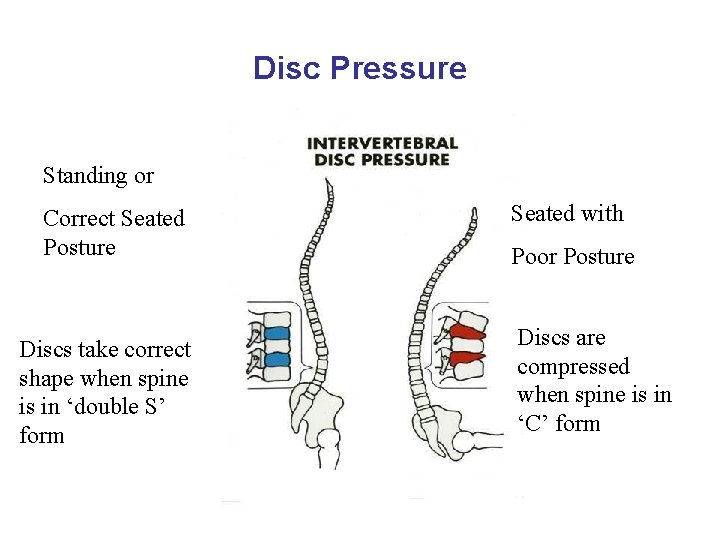 Ergonomics Matches job to the worker Product to