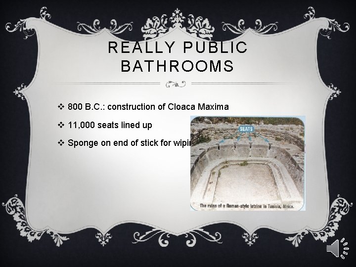 HISTORY OF THE TOILET Henry Cappel November 20