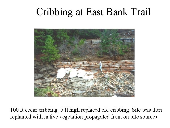 EROSION CONTROL 2003 HIGHLIGHTS Ponderosa Campground 145 ft