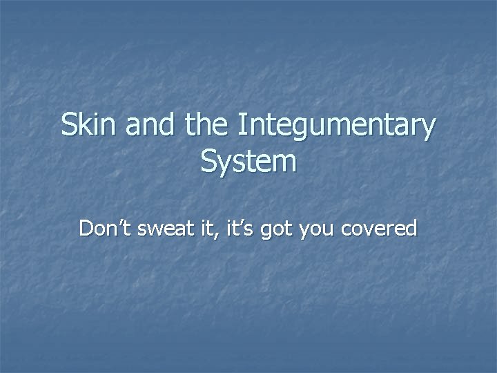 Skin and the Integumentary System Dont sweat it