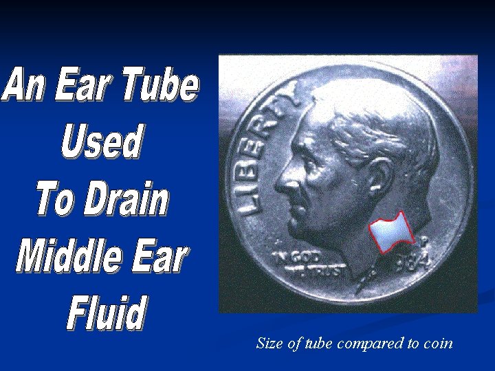 The Ear Functions of the Ear 1 2