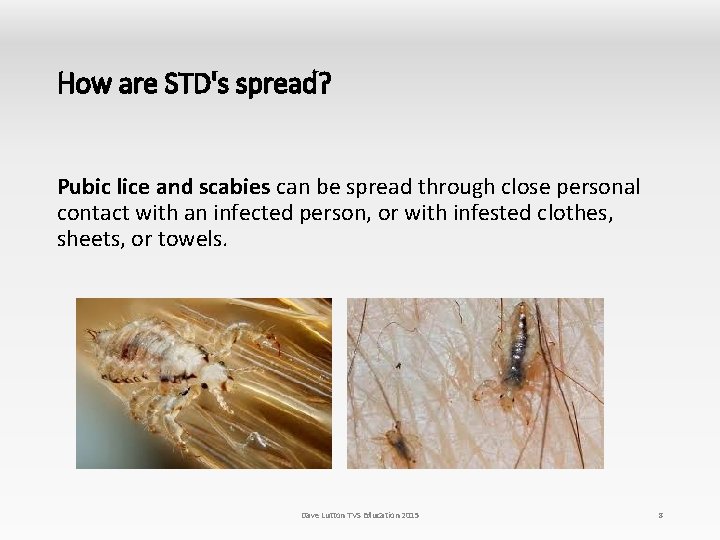 Sexually Transmitted Diseases STD The Facts Ignore them