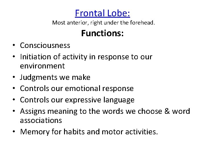 Brain Based Research Strategies Analisa GerigSickles Heidi Schubert