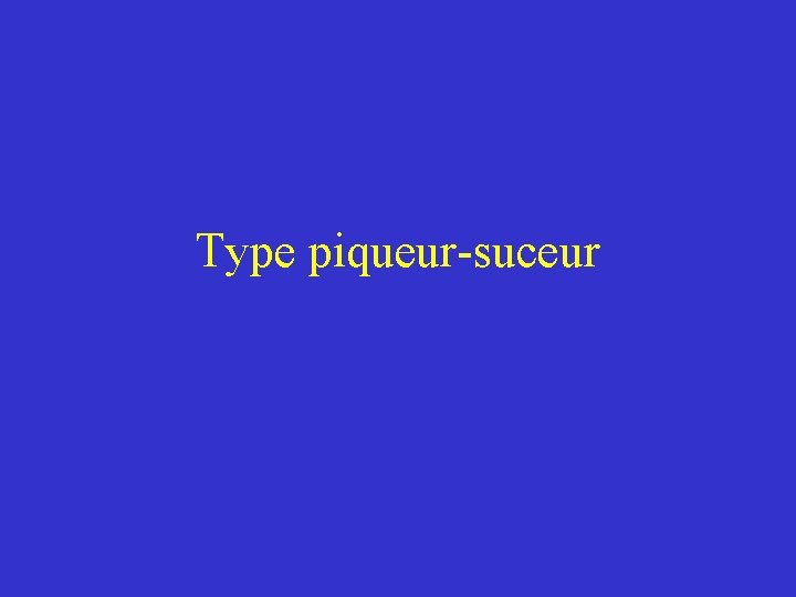 LES PICES BUCCALES DES INSECTES ET LEURS FONCTIONS
